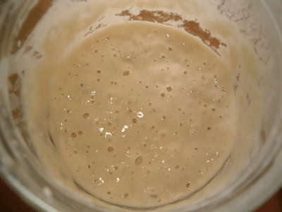 Levain
