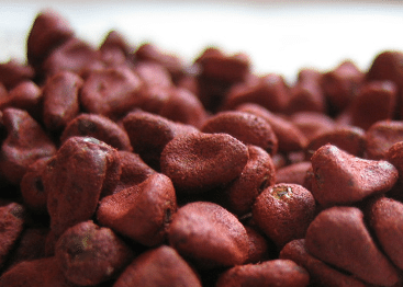 Rocou - Gastronomiac