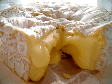 Pâte molle à croûte fleurie