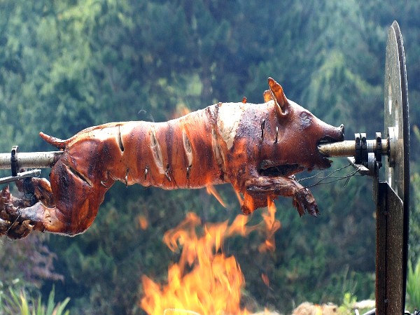 absolument tarif Caoutchouc cochon de lait a la broche haute savoie ...