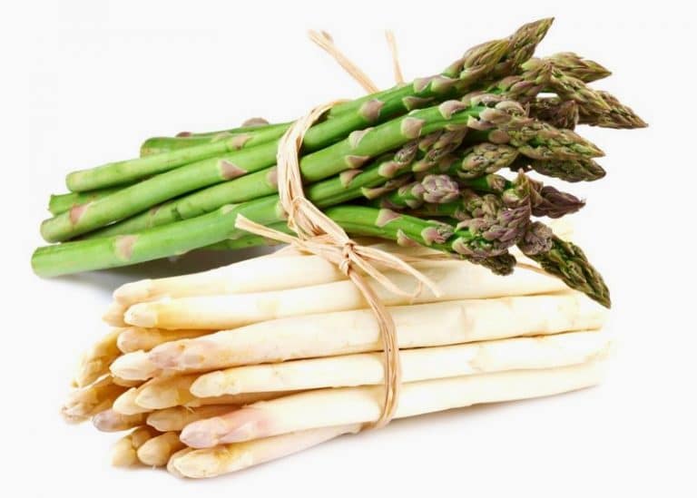 Asperge