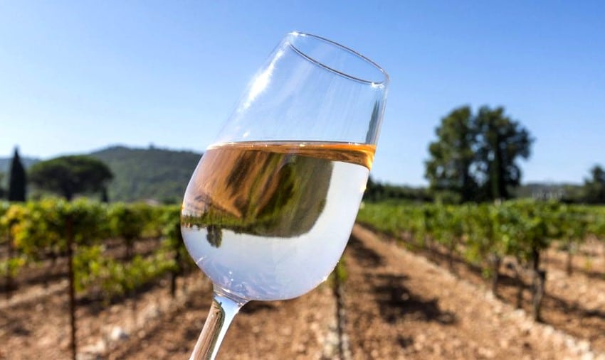 Vin blanc sec - Gastronomiac