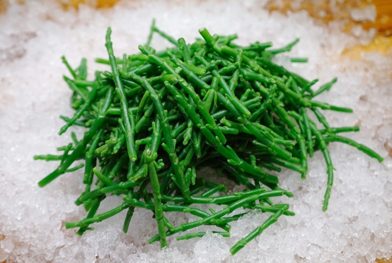Samphire