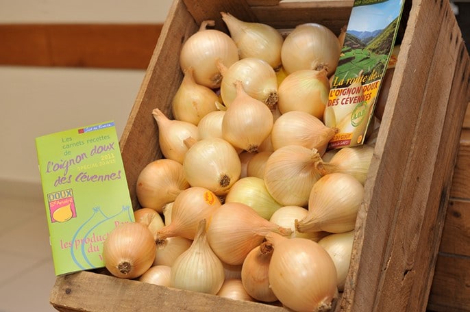 Oignon doux des Cévennes