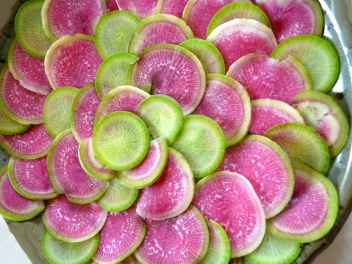 Radis « Red meat » et « Green meat