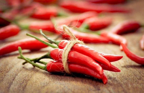 Piment tabasco